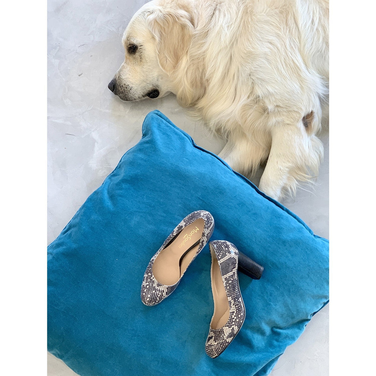 escarpin femme cuir imprimé python petit talon fabrique en Italie – Mon ...